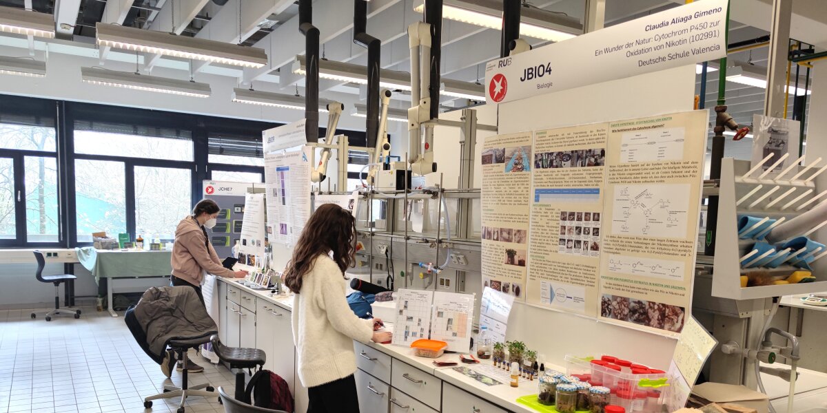 Wissenschaft trifft Schule