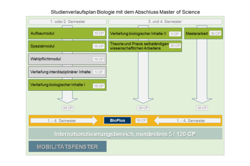 Master of Science Biologie (1 Fach, Studienbeginn ab WS 19/20