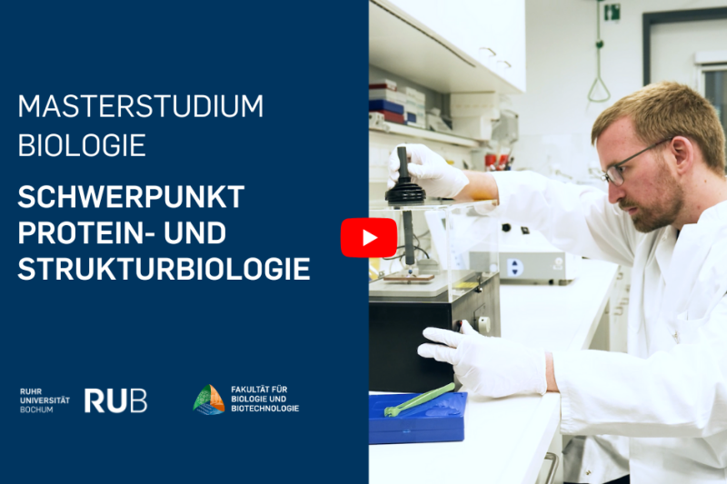 Master of Science Biologie (1 Fach, Studienbeginn ab WS 19/20